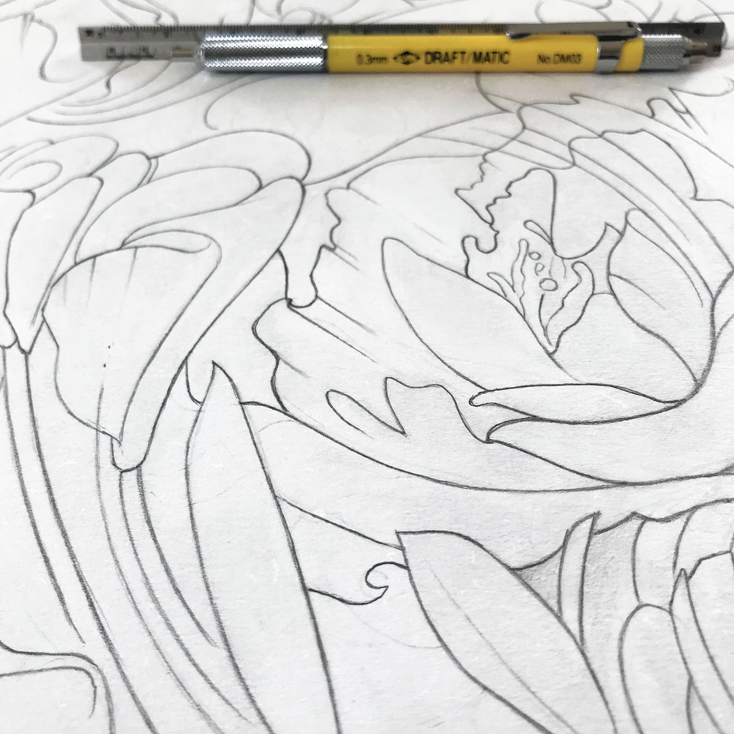 Floral Sketch – Spendlove